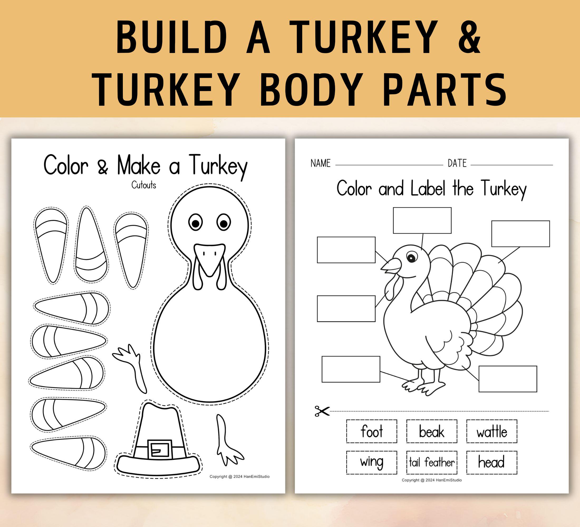 Build a Turkey; Parts of a Turkey Labeling; Cut and Glue a Turkey; Cut ...