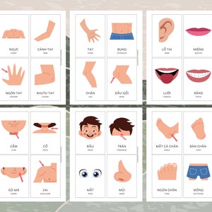 24 VIETNAMESE Body Parts Flashcards; Bilingual Learning Cards for Kids ...
