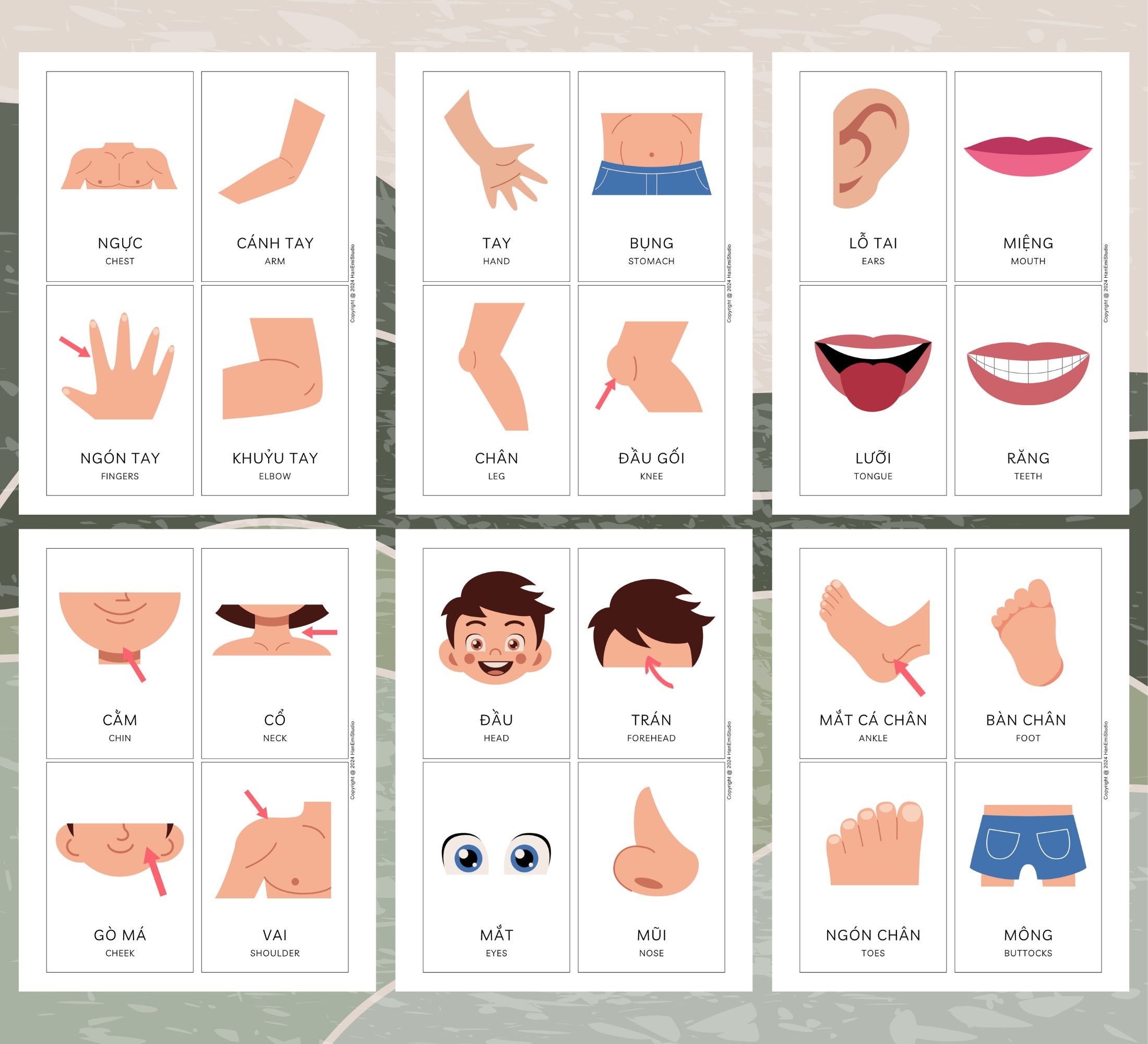 24 VIETNAMESE Body Parts Flashcards; Bilingual Learning Cards for Kids ...