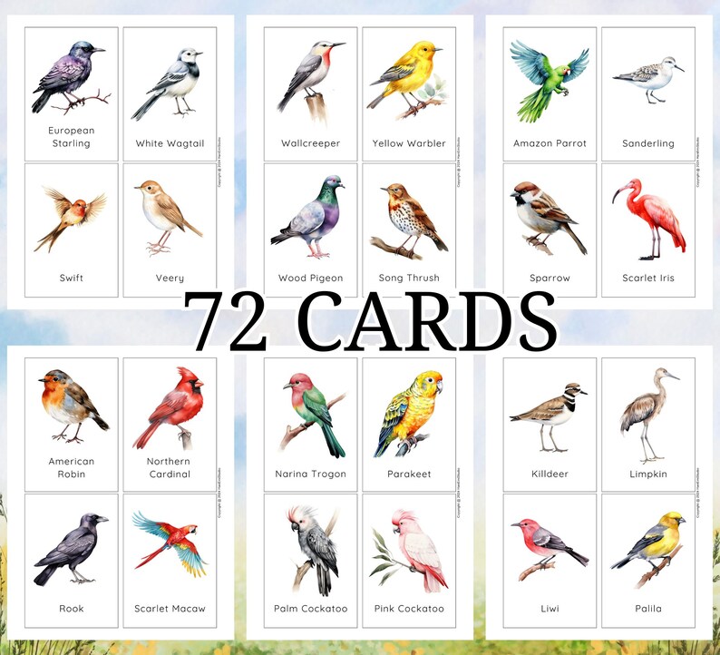 72 Birds Flashcards for Kids, Bird Breed Learning Cards; Birds Learning ...