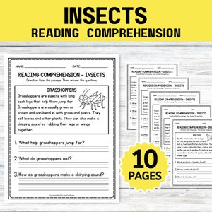 10 Insects Reading Comprehension Worksheets; 1st Grade Reading ...