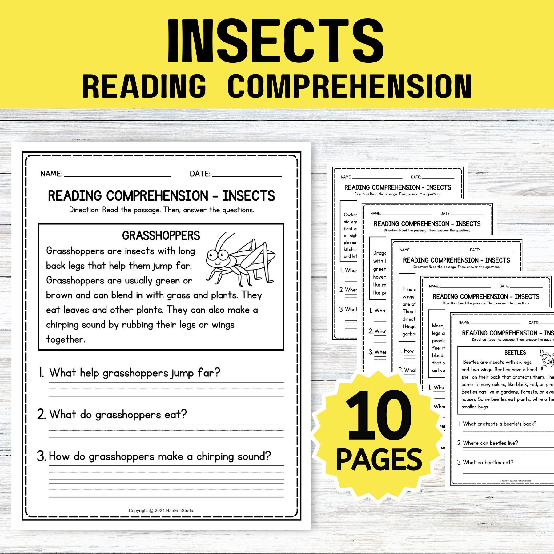10 Insects Reading Comprehension Worksheets; 1st Grade Reading ...