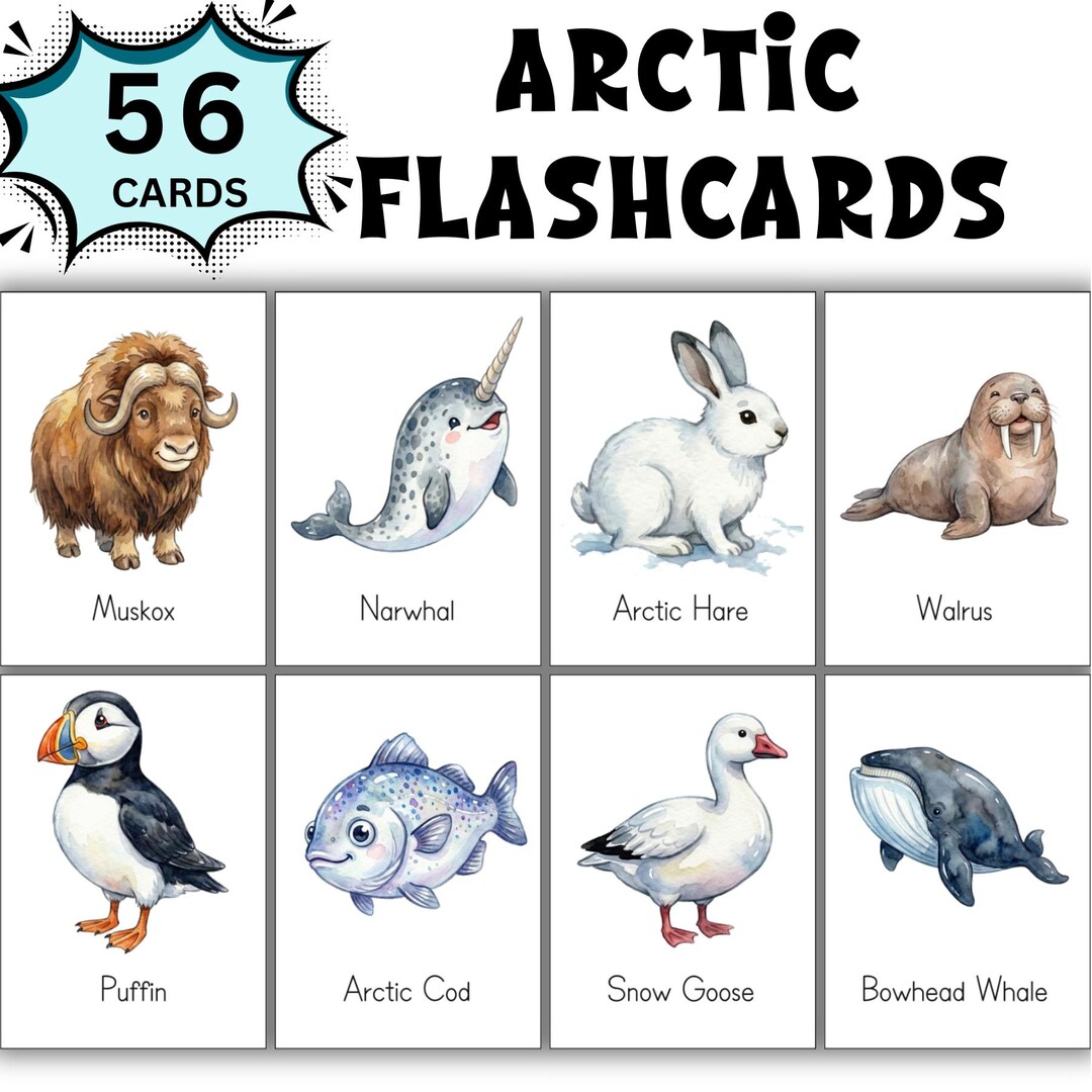 Arctic Vocabulary Flashcards; Watercolor Kids Flashcards; Arctic Animal ...