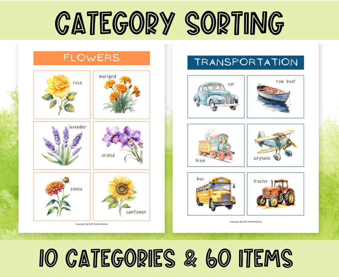 10 Category Sorting Activity; Category Sorting Worksheets for Kids ...