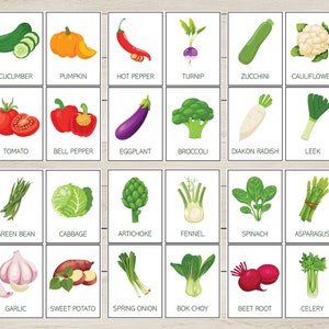 88 Fruits and Vegetables Vocabulary Flashcards; Printable Kids Flash ...