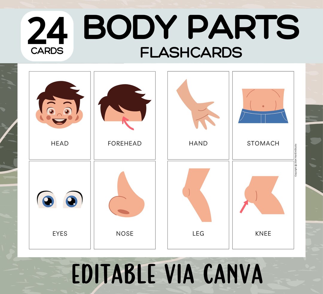 EDITABLE 24 Body Part Flashcards via Canva; Vocabulary Flashcards for ...