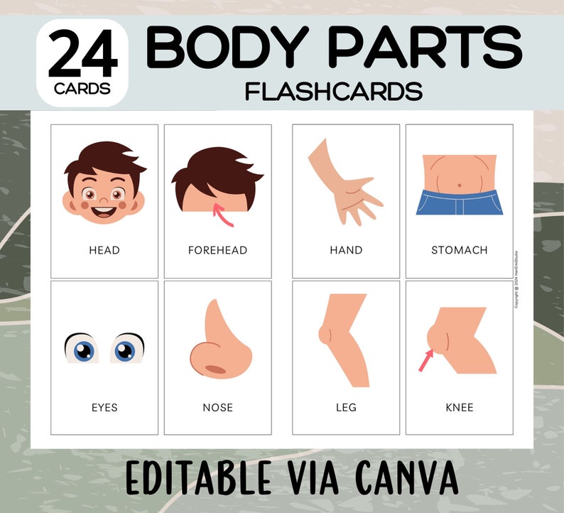 EDITABLE 24 Body Part Flashcards via Canva; Vocabulary Flashcards for ...