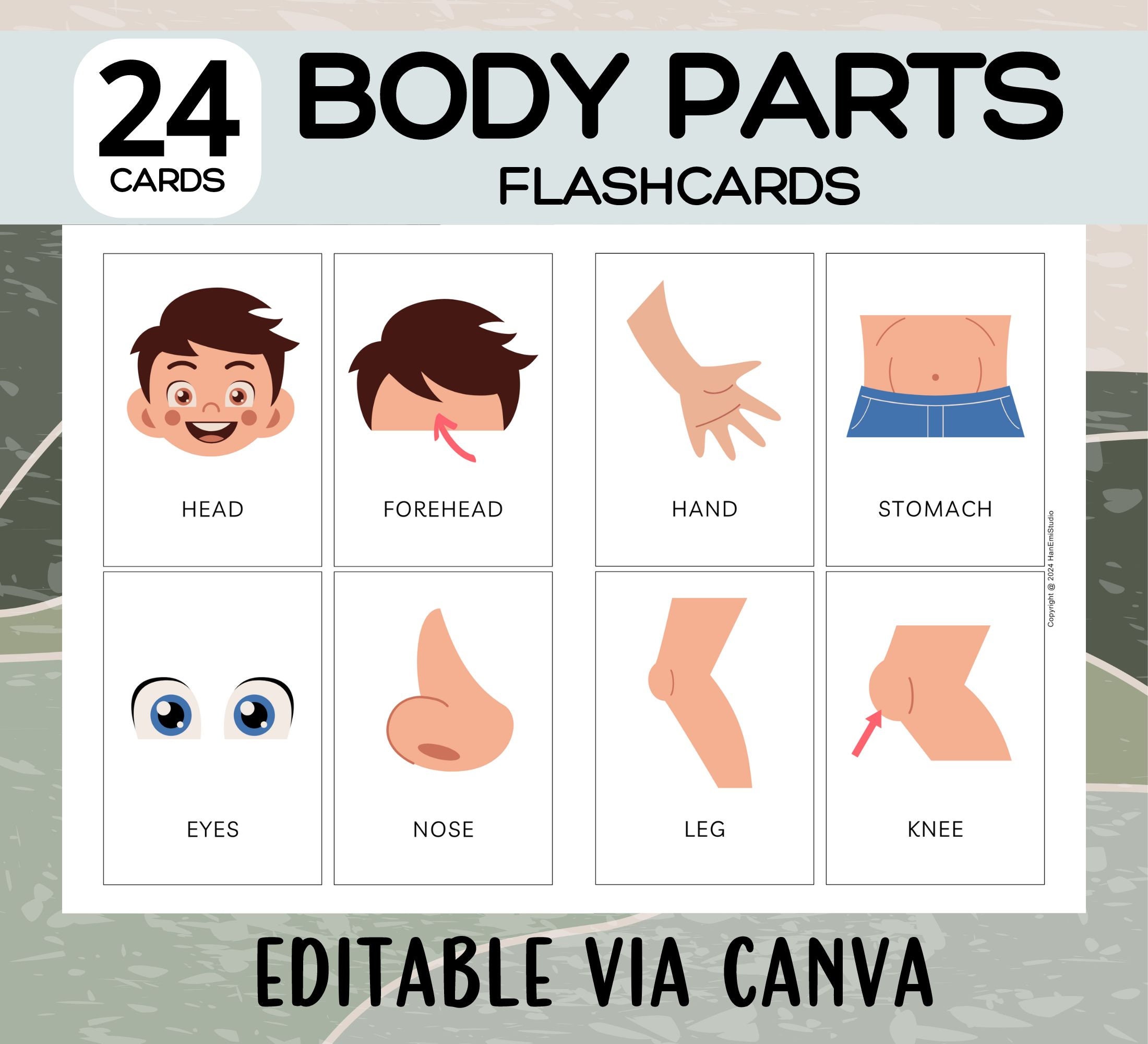 EDITABLE 24 Body Part Flashcards via Canva; Vocabulary Flashcards for ...