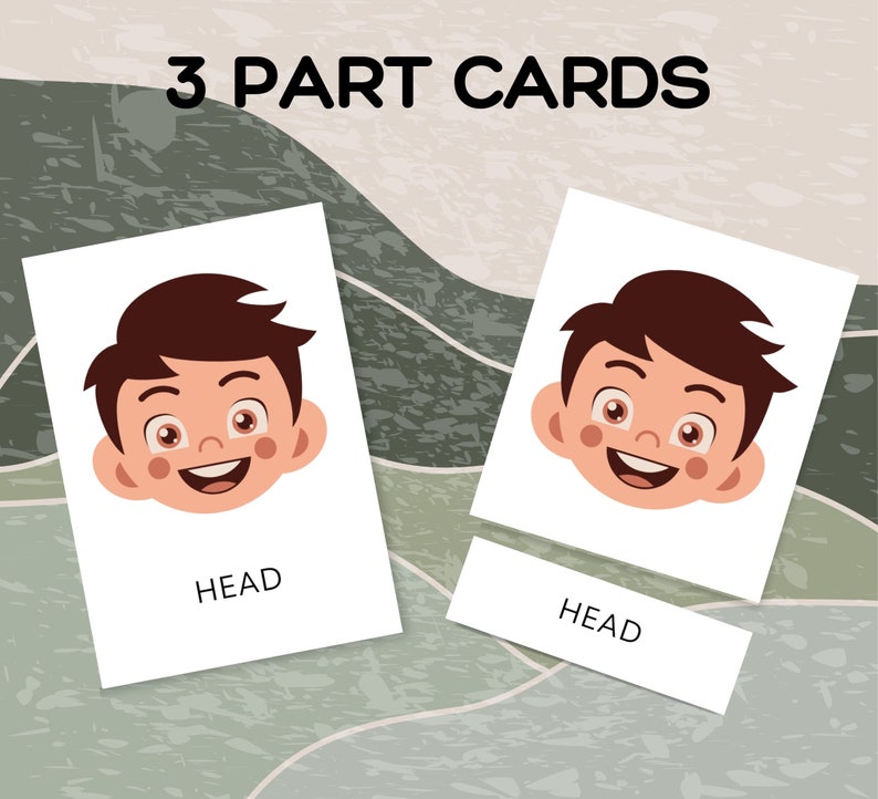 24 Body Part Flashcards Vocabulary Flashcards for Kids Preschool ...