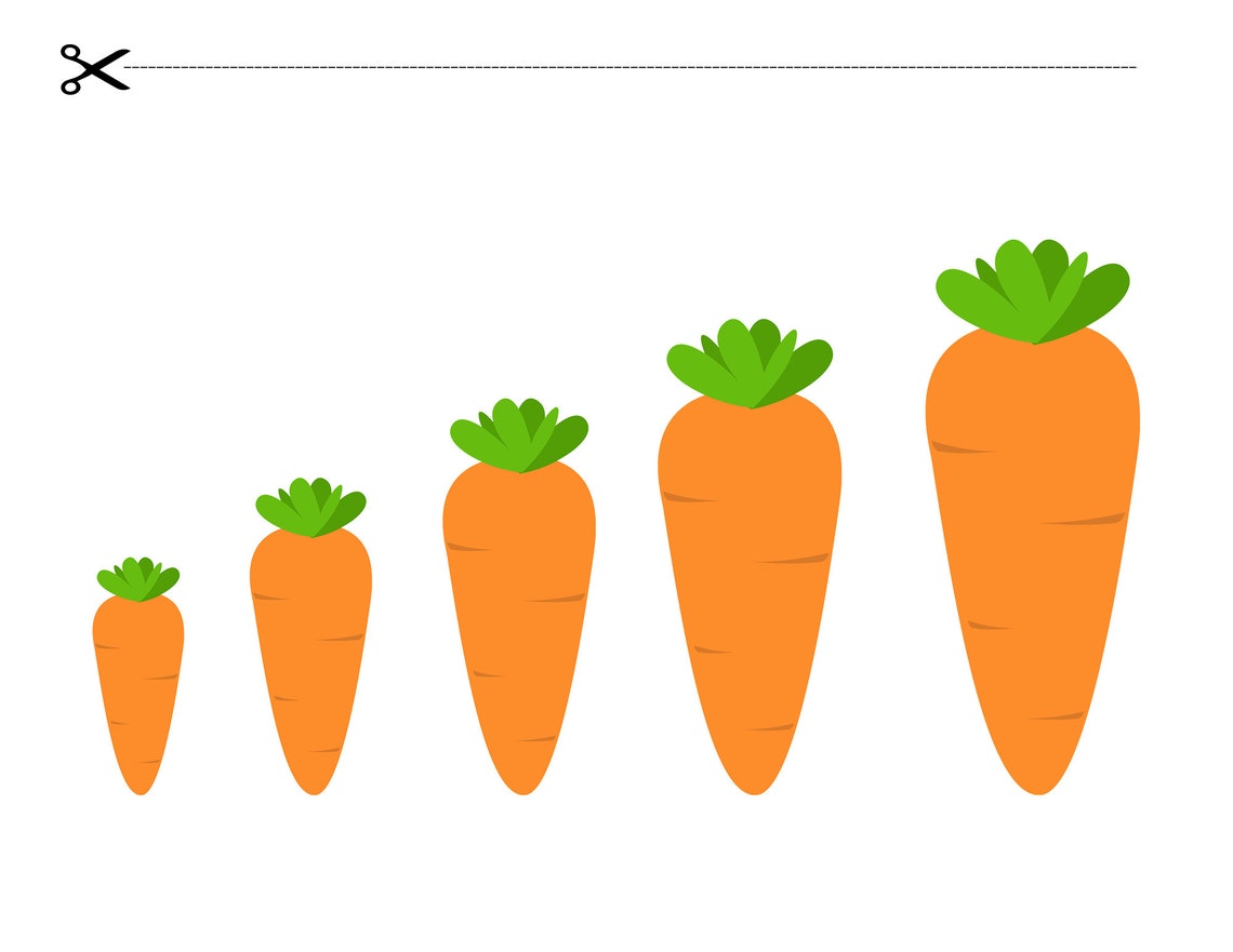 Carrot Size Sorting Activity; Prek Worksheet; Size Recognition ...