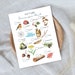 Summer Riddle Bingo Set 32 Calling Cards and 40 Bingo Cards Printable ...