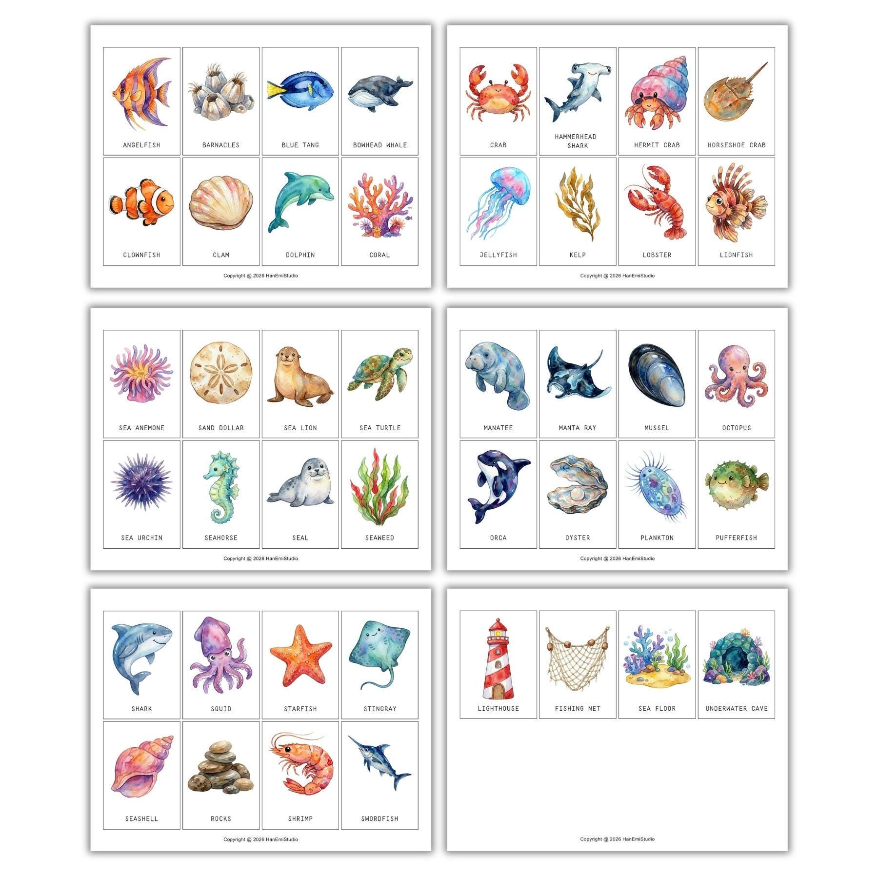 44 Under the Sea Flashcards; Ocean Animal Flashcards; Sea Animal ...