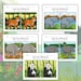 10 Zoo Animal Spot the Difference Worksheets for Prek and ...
