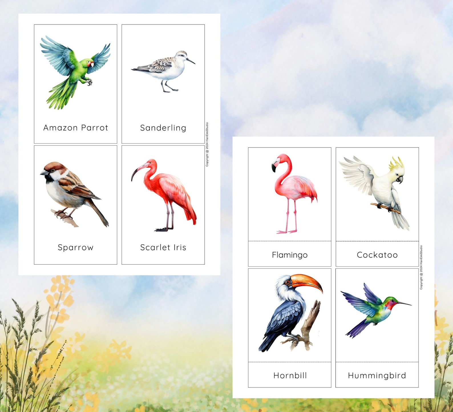 72 Birds Flashcards for Kids, Bird Breed Learning Cards; Birds Learning ...
