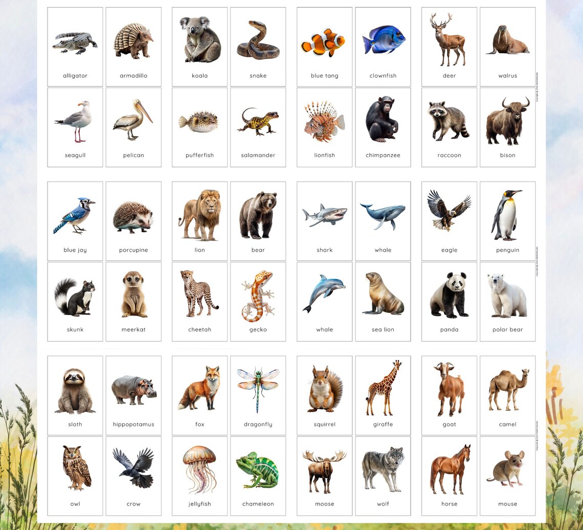 80 Realistic Animal Flashcards; Kids Learning Flash Cards; Animal ...