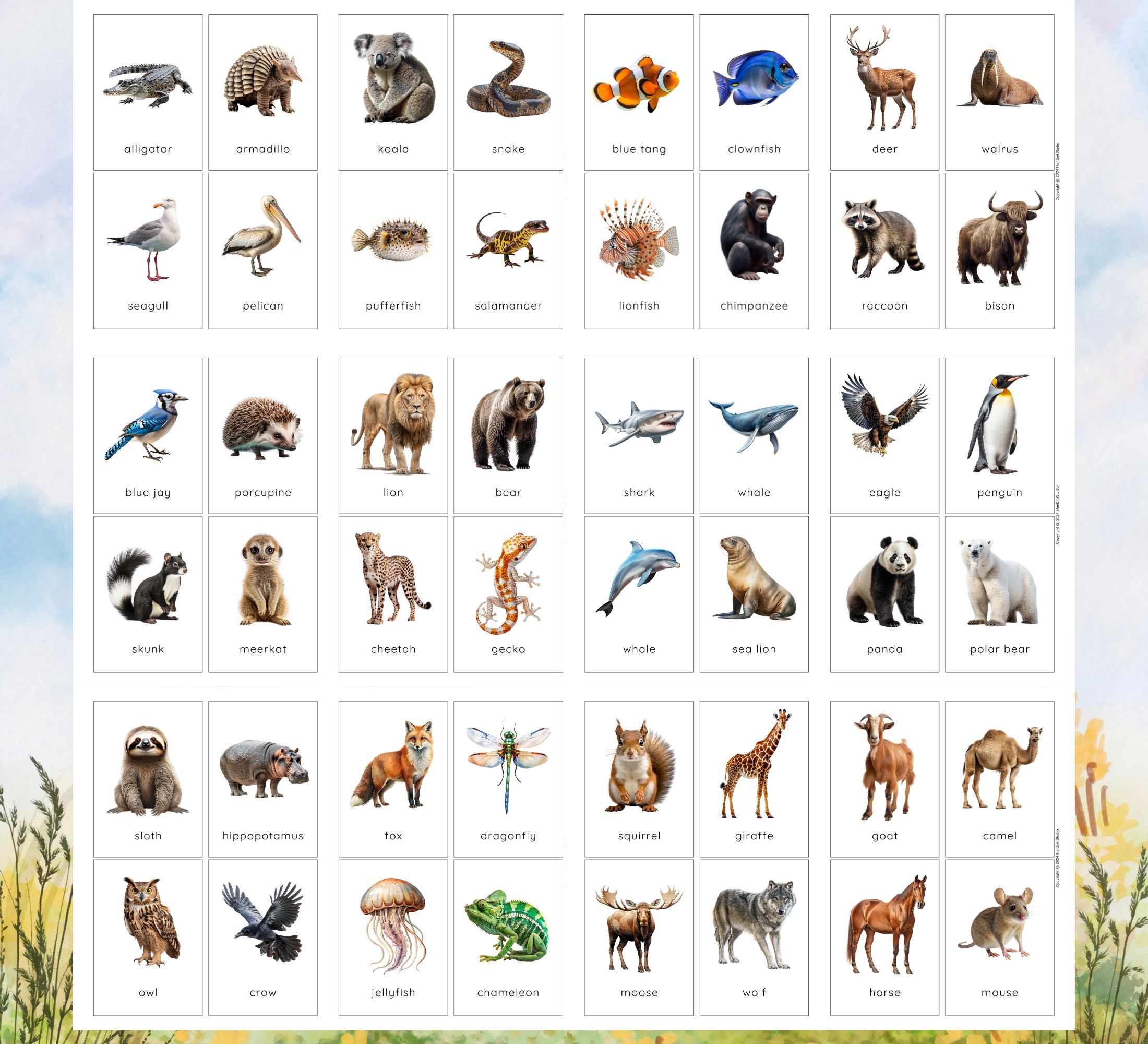 80 Realistic Animal Flashcards; Kids Learning Flash Cards; Animal ...