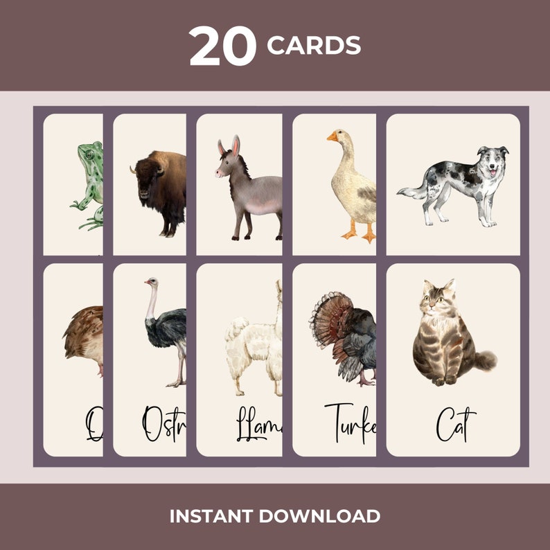 20 Farm Animal Flash Cards, Educational Cards for Kids 5 X 7 ...