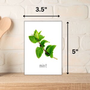 30 Herbs and Spices Flashcards; Vocabulary Flashcards; Plants ...