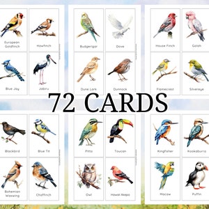 72 Birds Flashcards for Kids, Bird Breed Learning Cards; Birds Learning ...