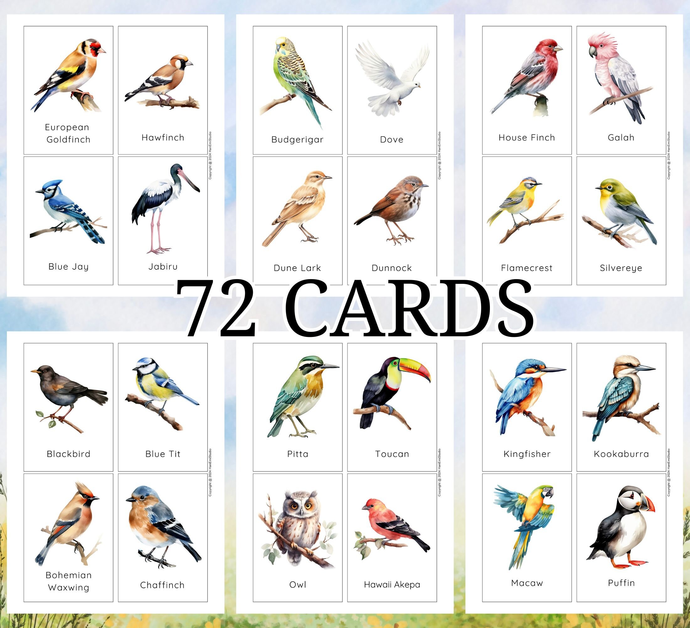 72 Birds Flashcards for Kids, Bird Breed Learning Cards; Birds Learning ...