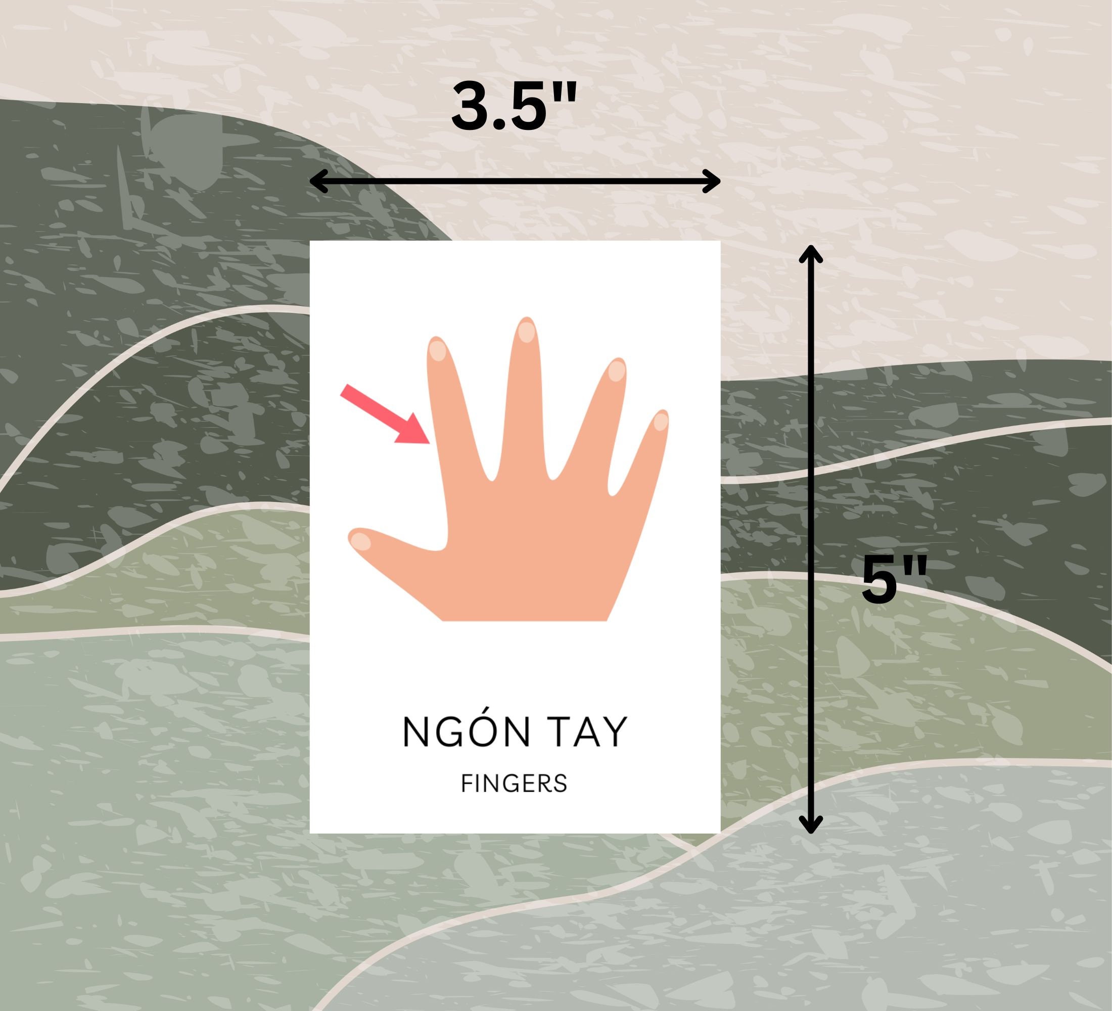 24 VIETNAMESE Body Parts Flashcards; Bilingual Learning Cards for Kids ...