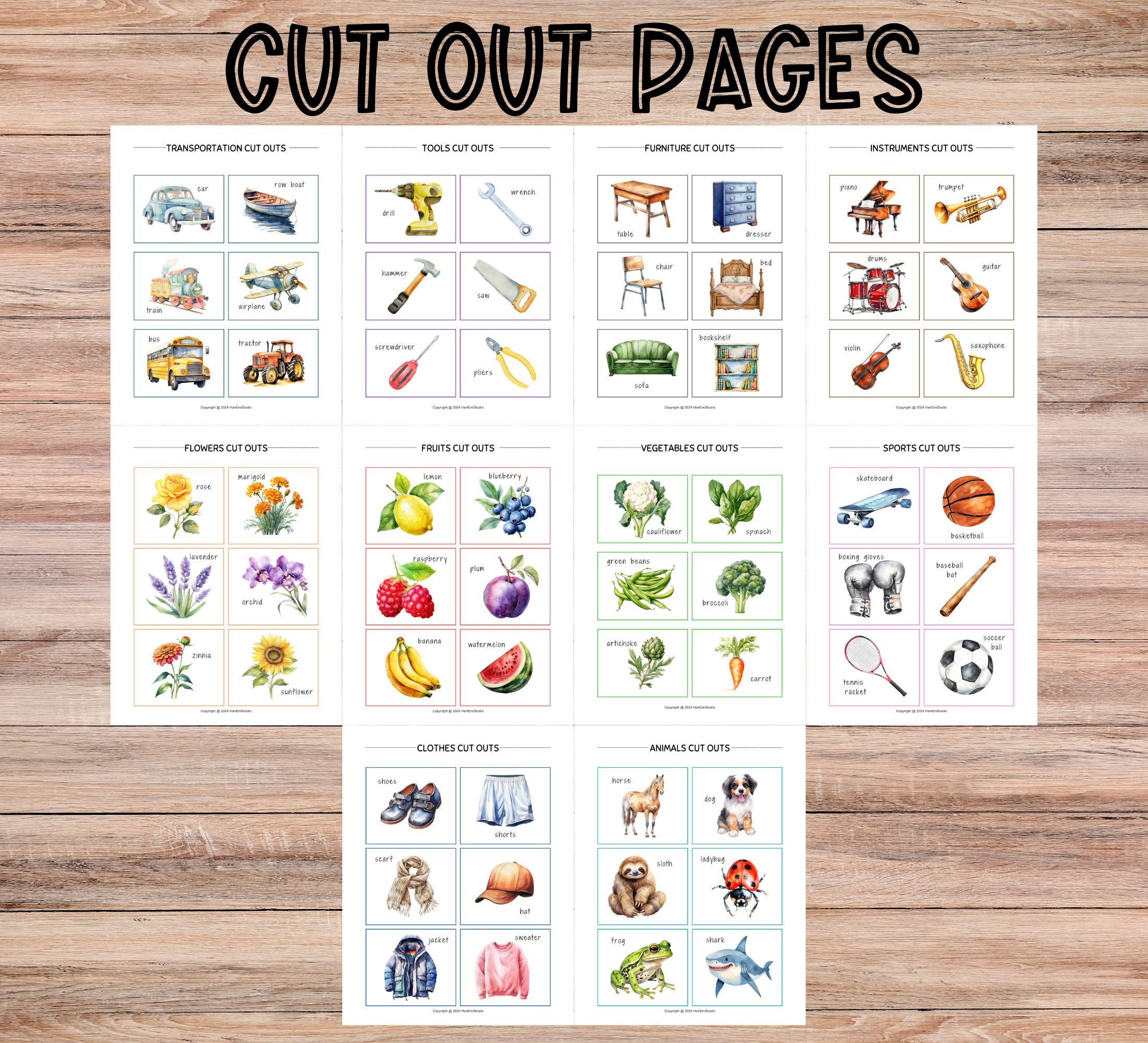 10 Category Sorting Activity; Category Sorting Worksheets for Kids ...
