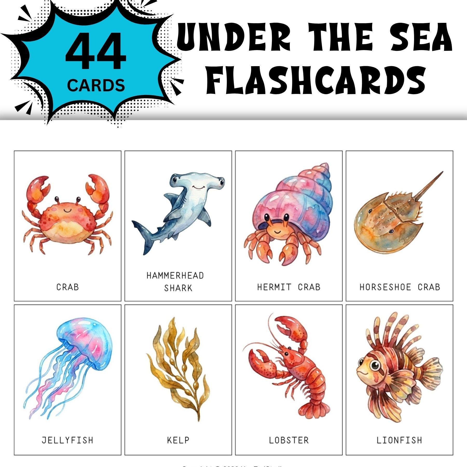44 Under the Sea Flashcards; Ocean Animal Flashcards; Sea Animal ...