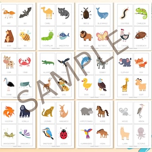 108 Animal Flashcards for Kids; Kids Learning Flash Cards; Preschool ...