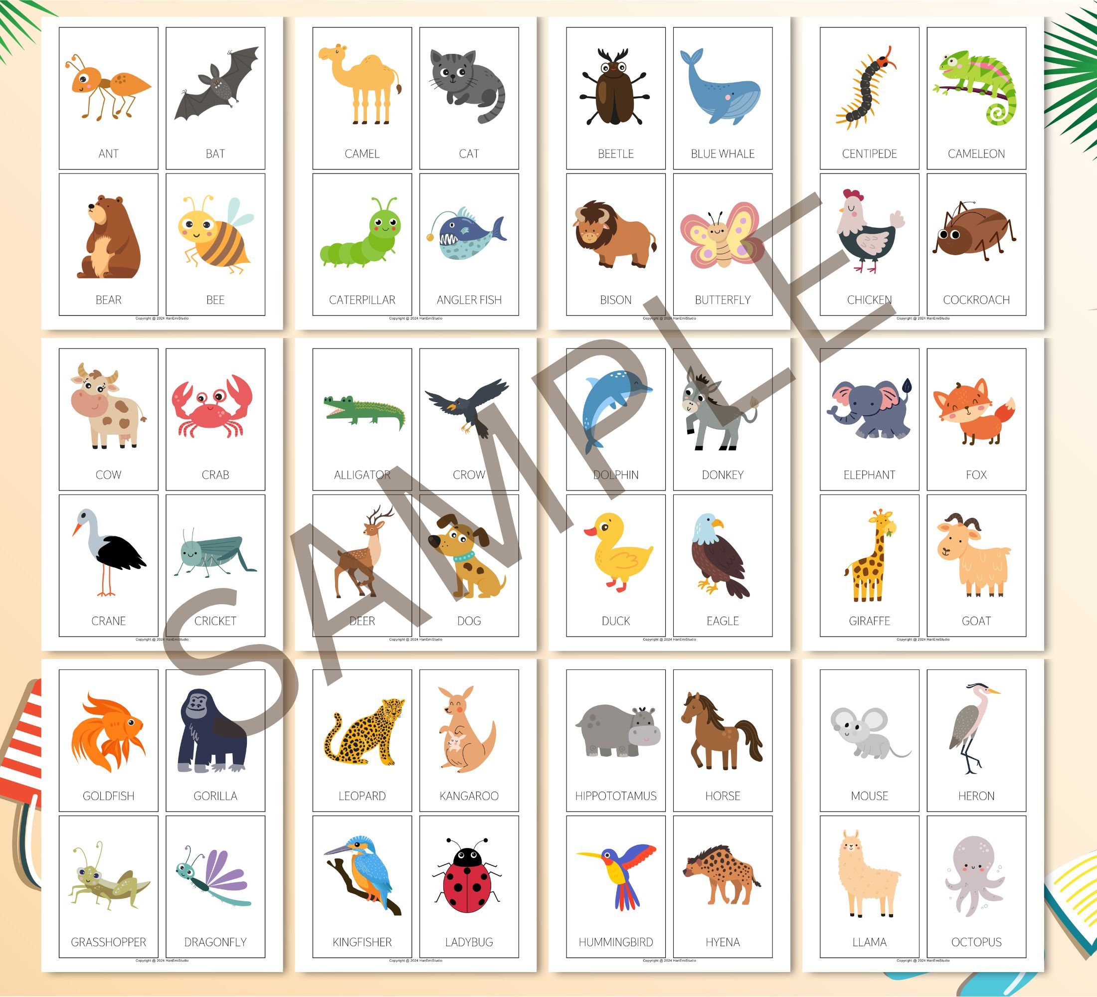 108 Animal Flashcards for Kids; Kids Learning Flash Cards; Preschool ...