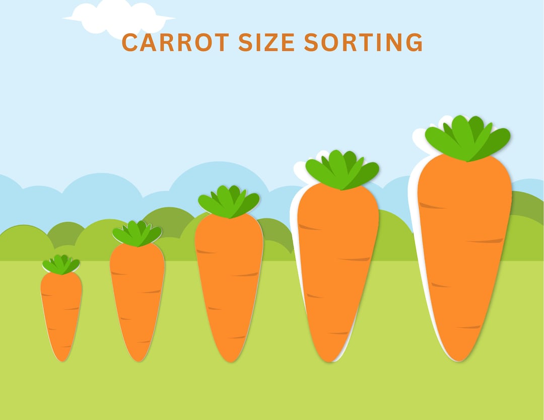 Carrot Size Sorting Activity; Prek Worksheet; Size Recognition ...