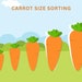 Carrot Size Sorting Activity; Prek Worksheet; Size Recognition ...