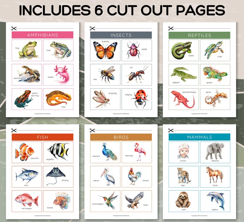 6 Page Animal Classification Sorting Activity; Animal Sorting ...