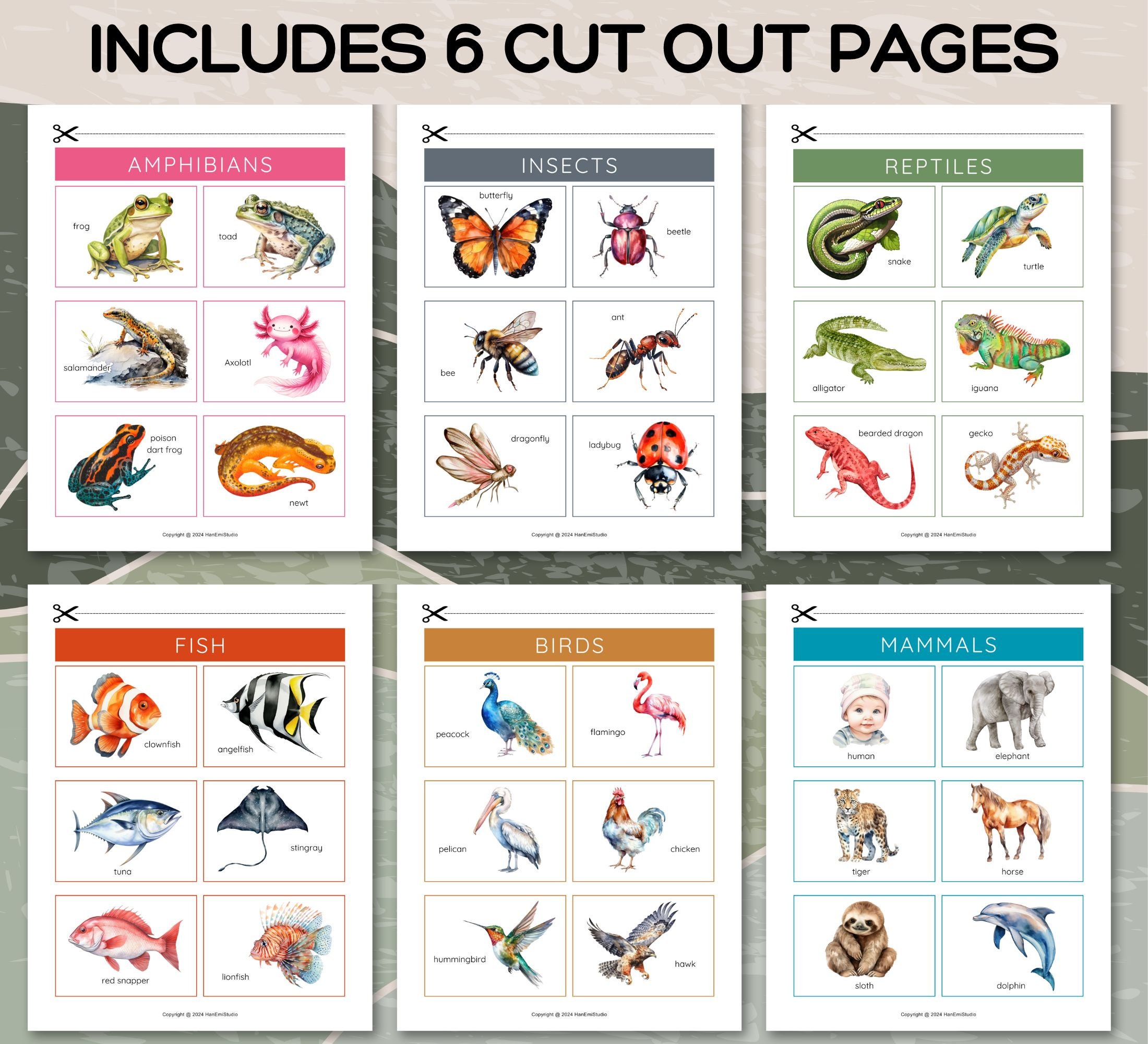 6 Page Animal Classification Sorting Activity; Animal Sorting ...