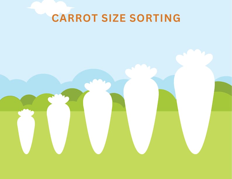 Carrot Size Sorting Activity; Prek Worksheet; Size Recognition ...
