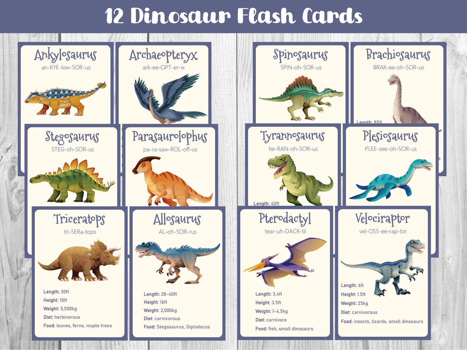 12 Dinosaur Flash Cards; Dinosaurs for Kids; Dinosaur SVG; Dinosaurs ...