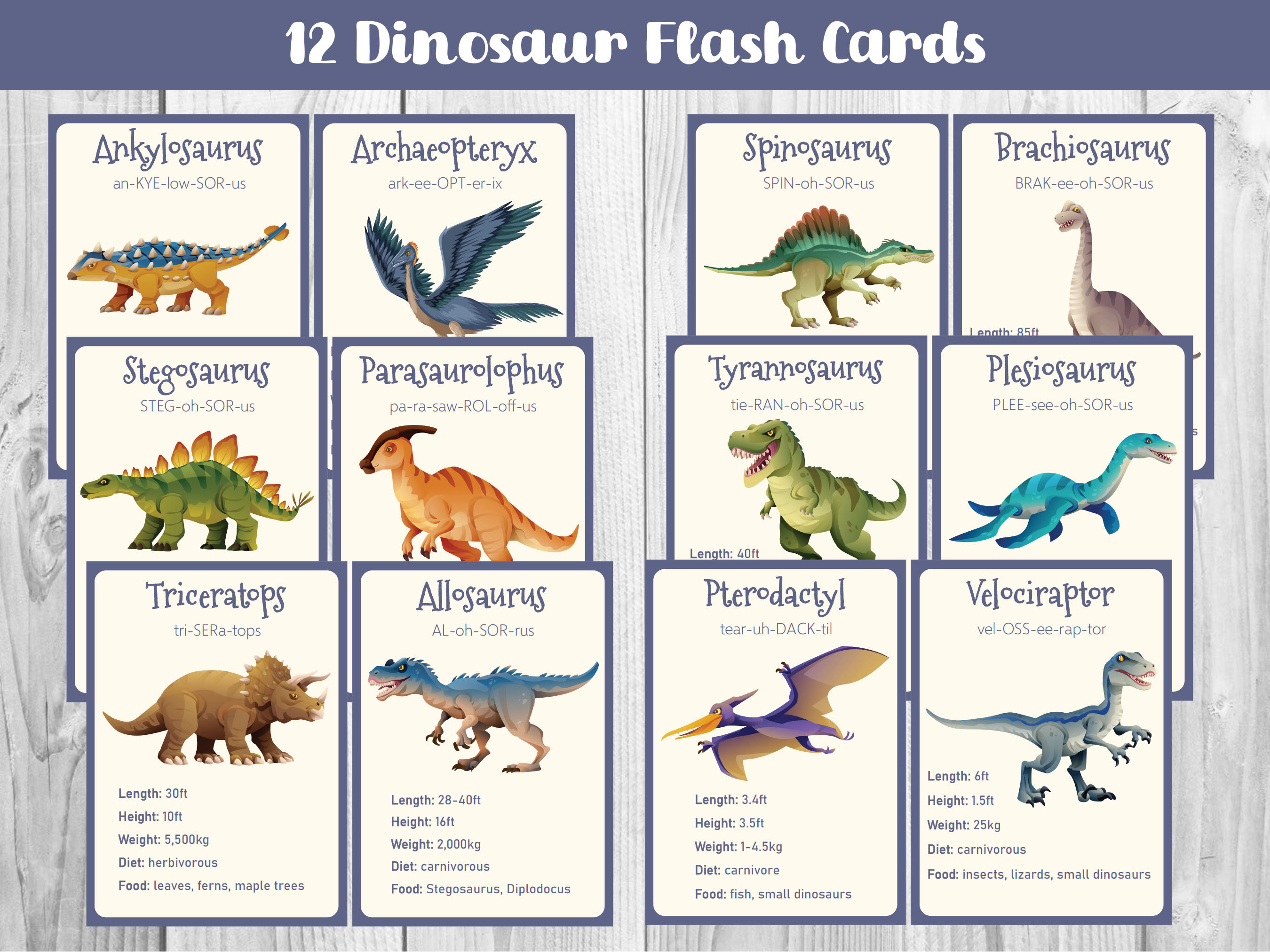 12 Dinosaur Flash Cards; Dinosaurs for Kids; Dinosaur SVG; Dinosaurs ...