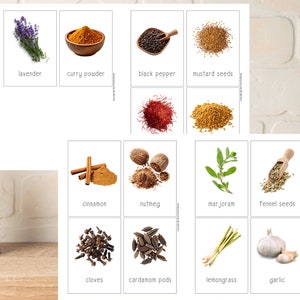 30 Herbs and Spices Flashcards; Vocabulary Flashcards; Plants ...