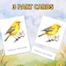 72 Birds Flashcards for Kids, Bird Breed Learning Cards; Birds Learning ...