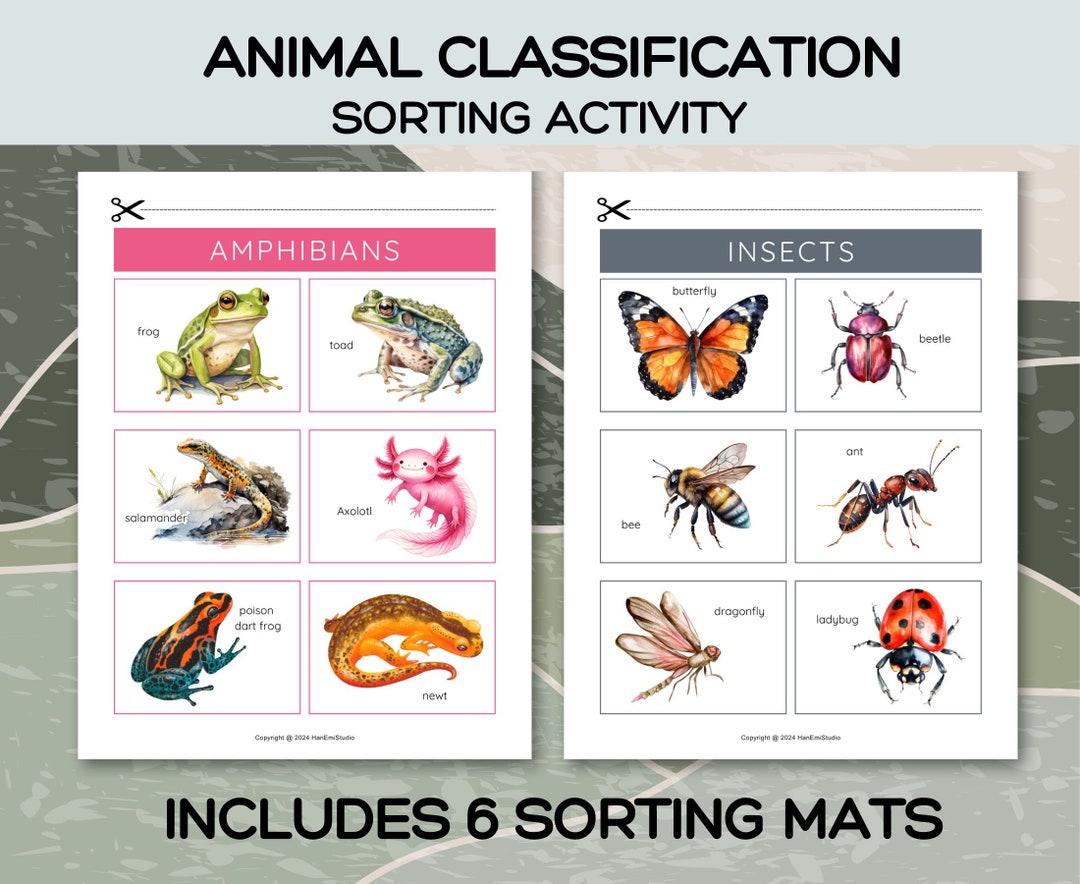 6 Page Animal Classification Sorting Activity; Animal Sorting ...