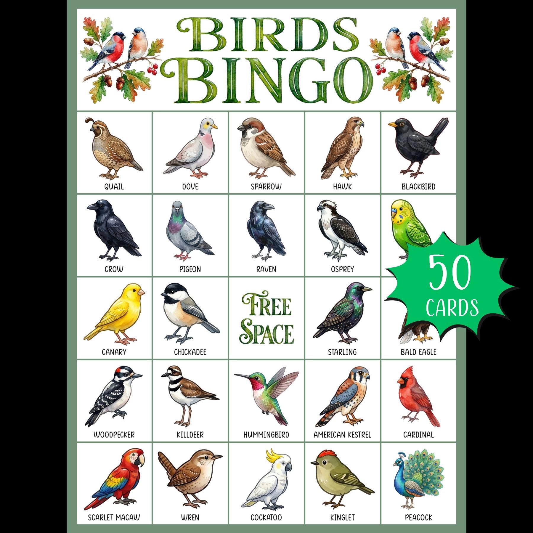 Birds Bingo Game Printable; Birds Watching Party Activity; Spring ...