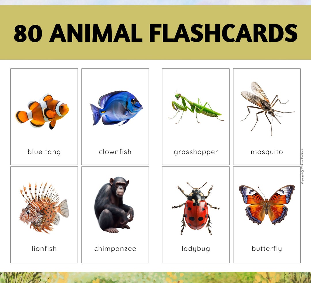 80 Realistic Animal Flashcards; Kids Learning Flash Cards; Animal ...