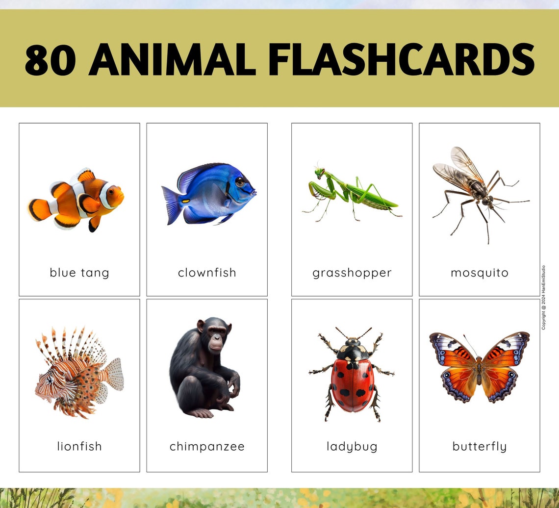80 Realistic Animal Flashcards; Kids Learning Flash Cards; Animal ...