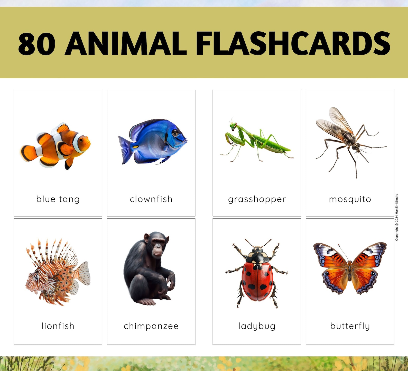80 Realistic Animal Flashcards; Kids Learning Flash Cards; Animal ...