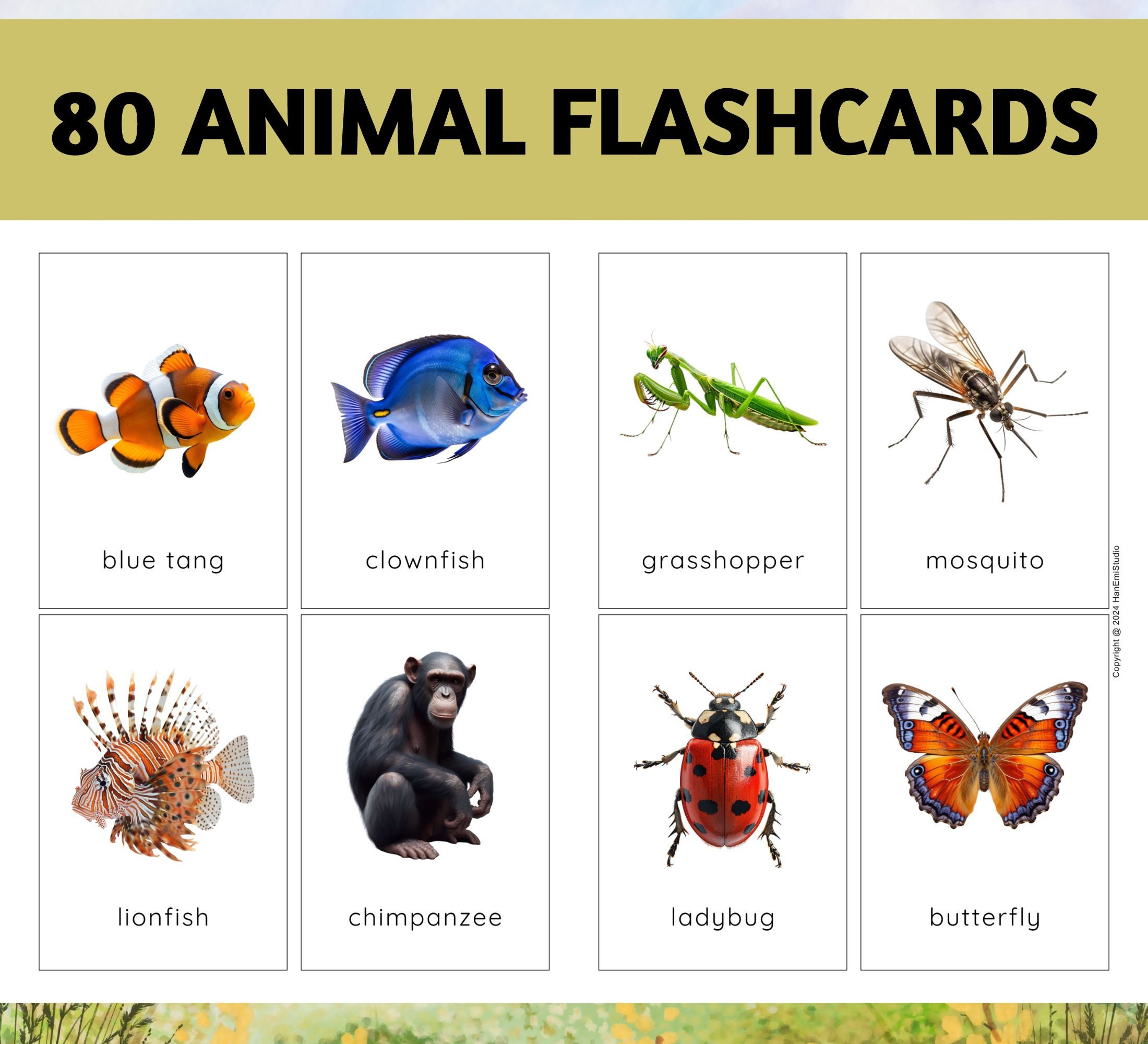 80 Realistic Animal Flashcards; Kids Learning Flash Cards; Animal ...