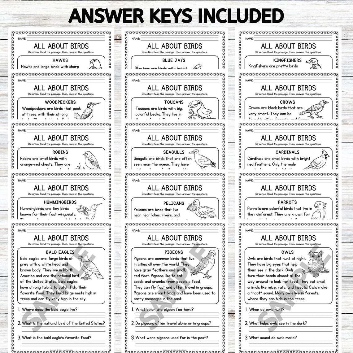 15 Birds Reading Comprehension Worksheets; 1st Grade Reading ...