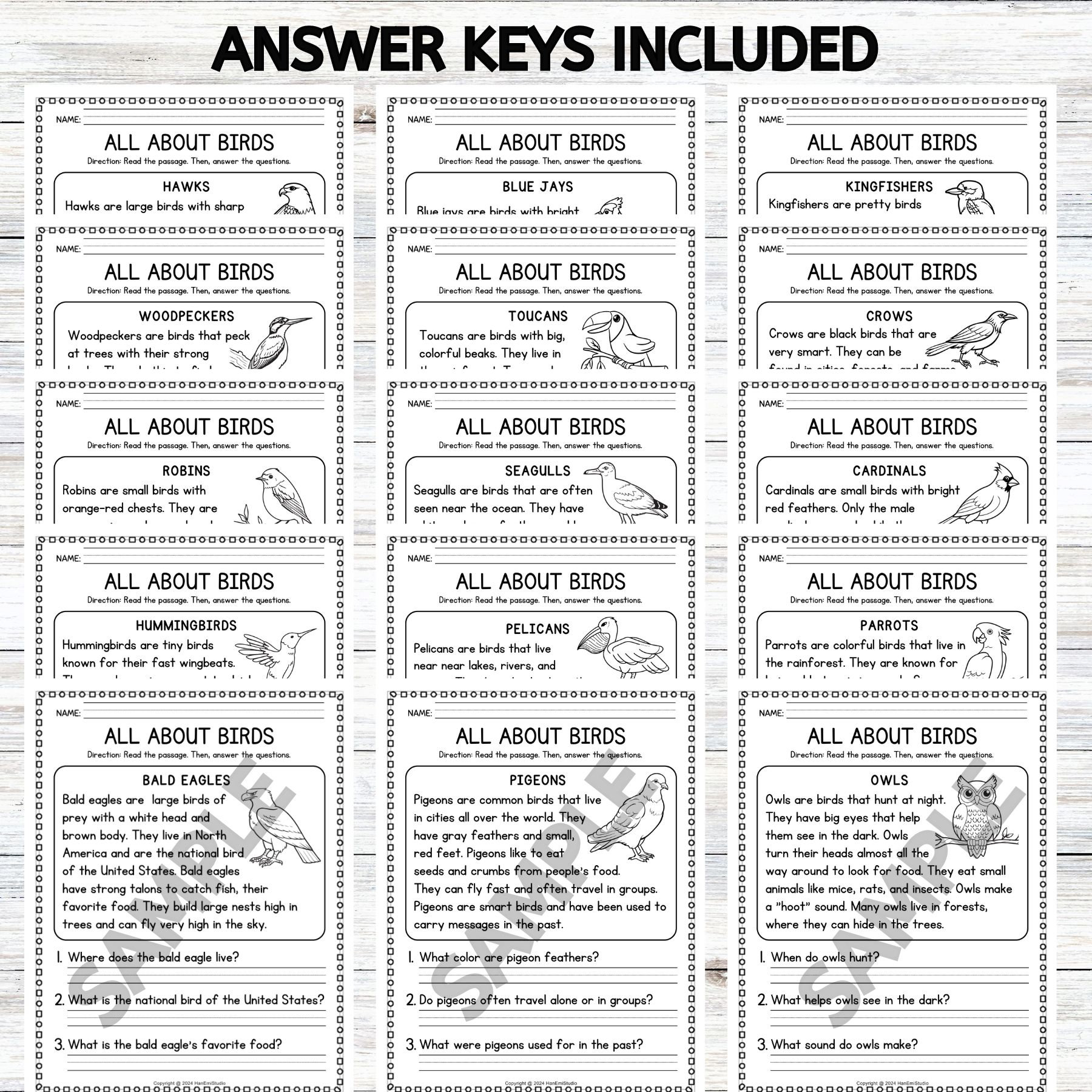 15 Birds Reading Comprehension Worksheets; 1st Grade Reading ...