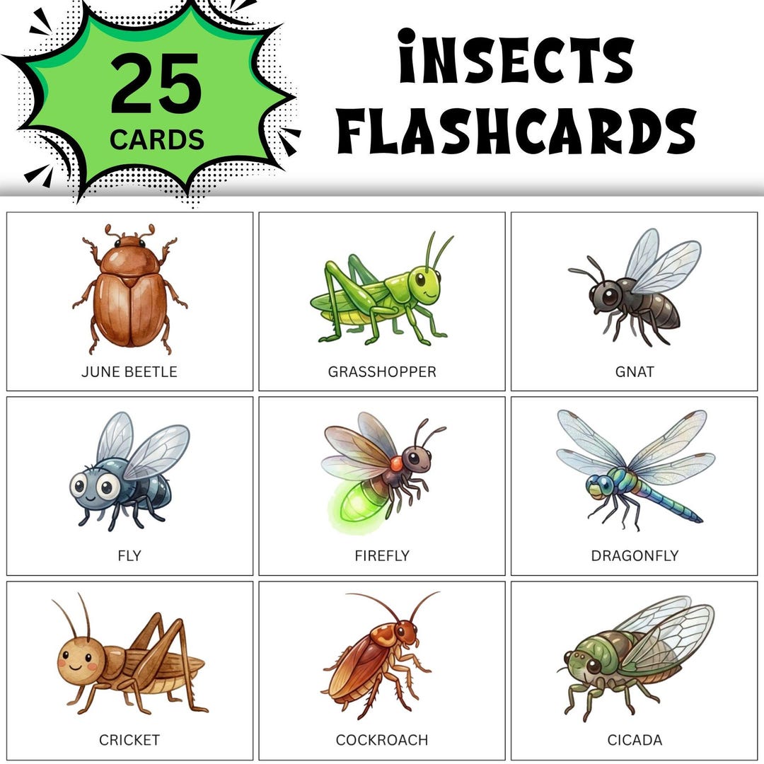 25 Insects Flashcards Printable; Bug Nomenclature Cards; Montessori ...