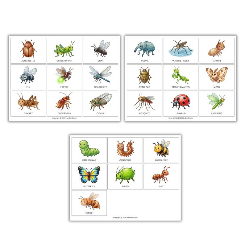 25 Insects Flashcards Printable; Bug Nomenclature Cards; Montessori ...