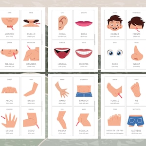 24 SPANISH Body Parts Flashcards; Bilingual Learning Cards for Kids ...