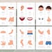 24 SPANISH Body Parts Flashcards; Bilingual Learning Cards for Kids ...